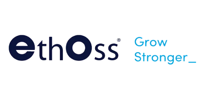 EthOss Synthetic Bone Graft Regeneration | VP Dental and Medical